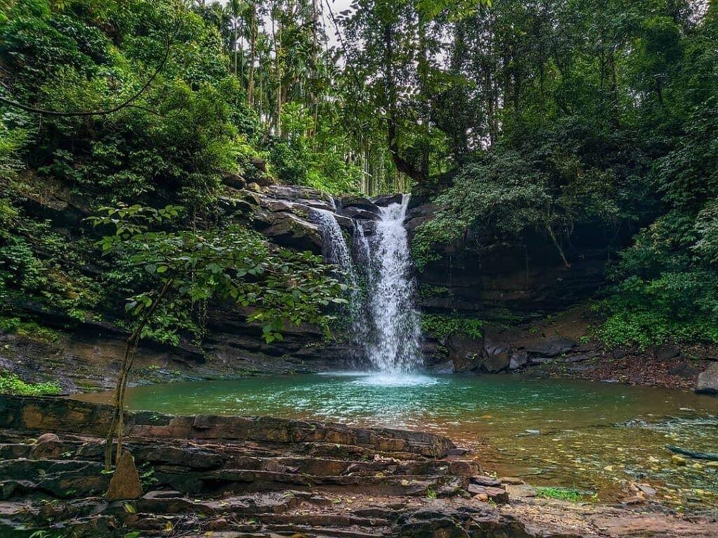 Parampara Resort: Top Most Best Resort In Hornadu-Kalasa